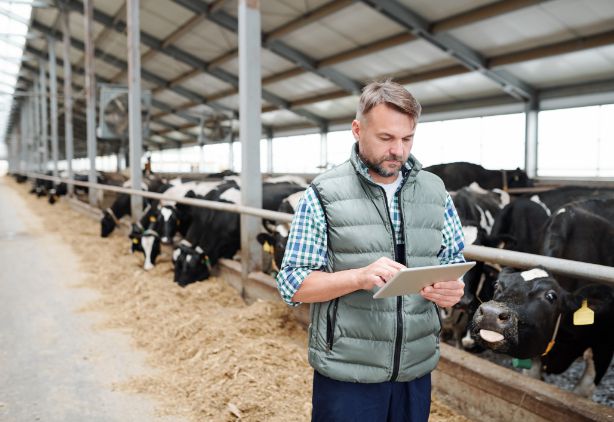 Dairy Revenue Protection - HighGround Dairy